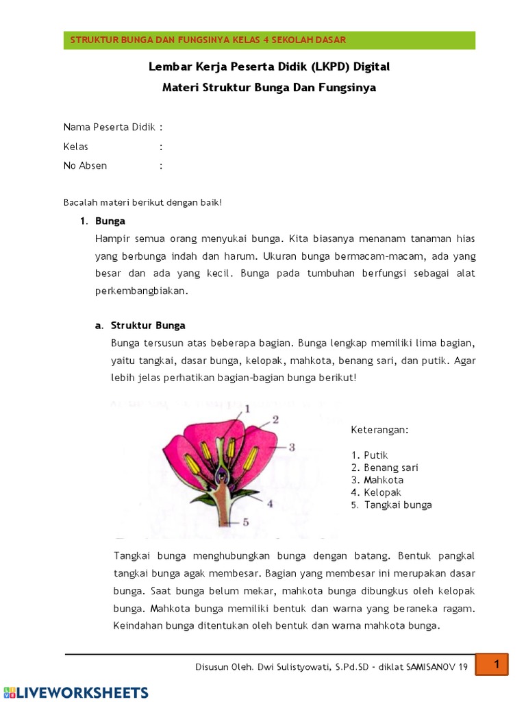 Struktur dan Fungsi Bunga Kelas 4 SD | PDF | Sains & Matematika