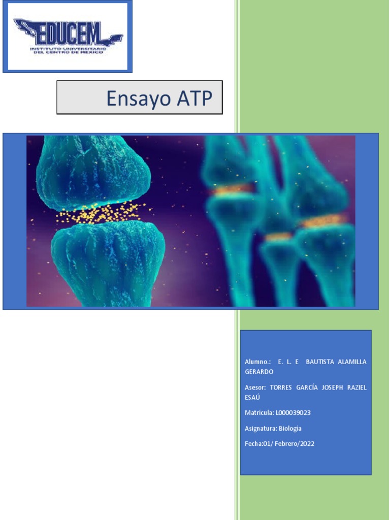 Importancia y Estructura del ATP | PDF | Trifosfato de adenosina ...