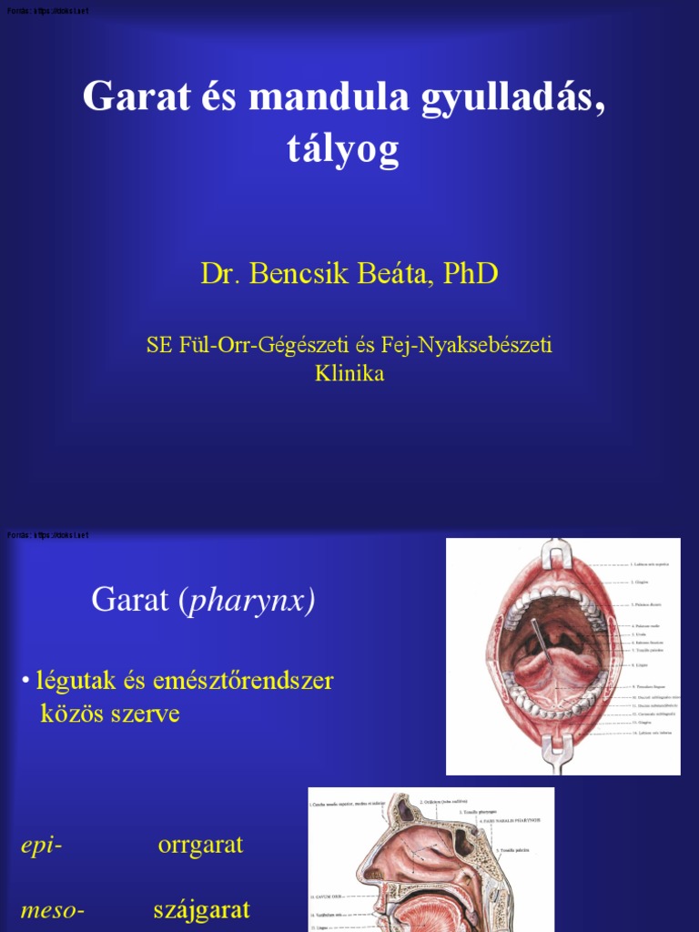 DR Bencsik Beata Garat Es Mandula Gyulladas Talyog | PDF