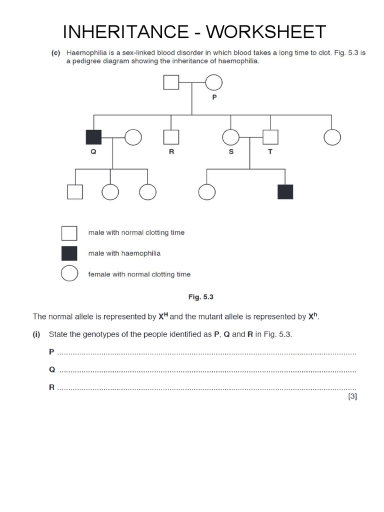 INHERITANCE - Worksheet | PDF