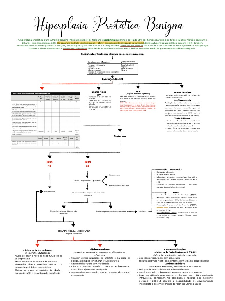 Fluxograma HPB | PDF | Antígeno específico da próstata | Andrologia