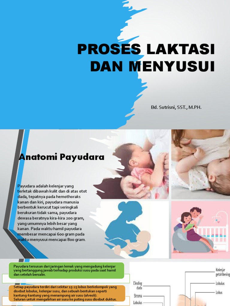 Proses Laktasi Dan Menyusui | PDF