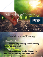 Method of Layout Orchard | PDF | Plants | Trees