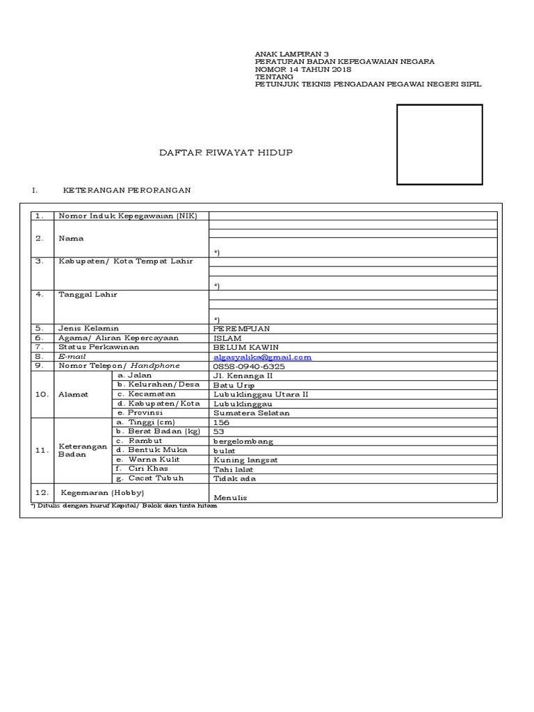 Contoh Formulir DRH PNS 2023 | PDF