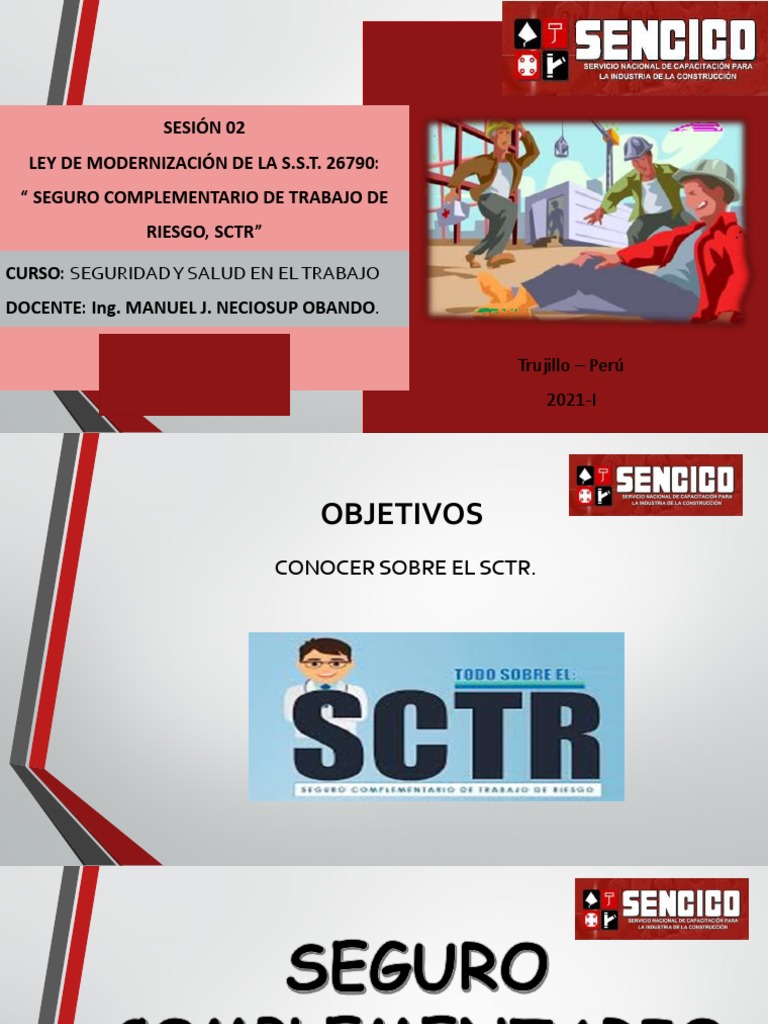 Clase 02 - SCTR | PDF