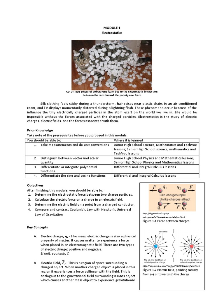 Electrostatics Module 1 Forces And Fields Pdf Electric Charge