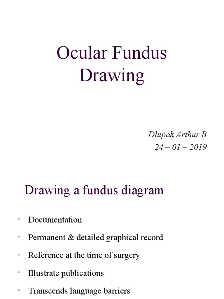 Fundus Diagram Drawing Guide | PDF | Retina | Human Eye