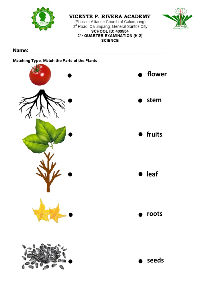 K2 Science 2ndQ | PDF | Home & Garden