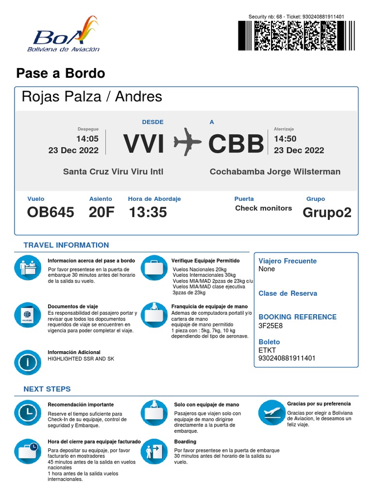 Información sobre el Pase a Bordo BOA | PDF | Accidentes e incidentes ...