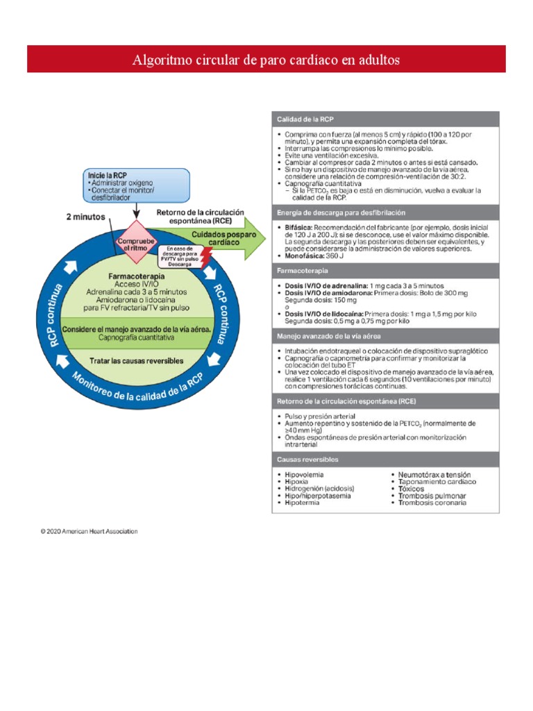 ACLS | PDF | Hipertensión | Reanimación cardiopulmonar