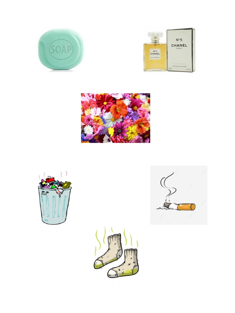 Good and Foul Smell | PDF