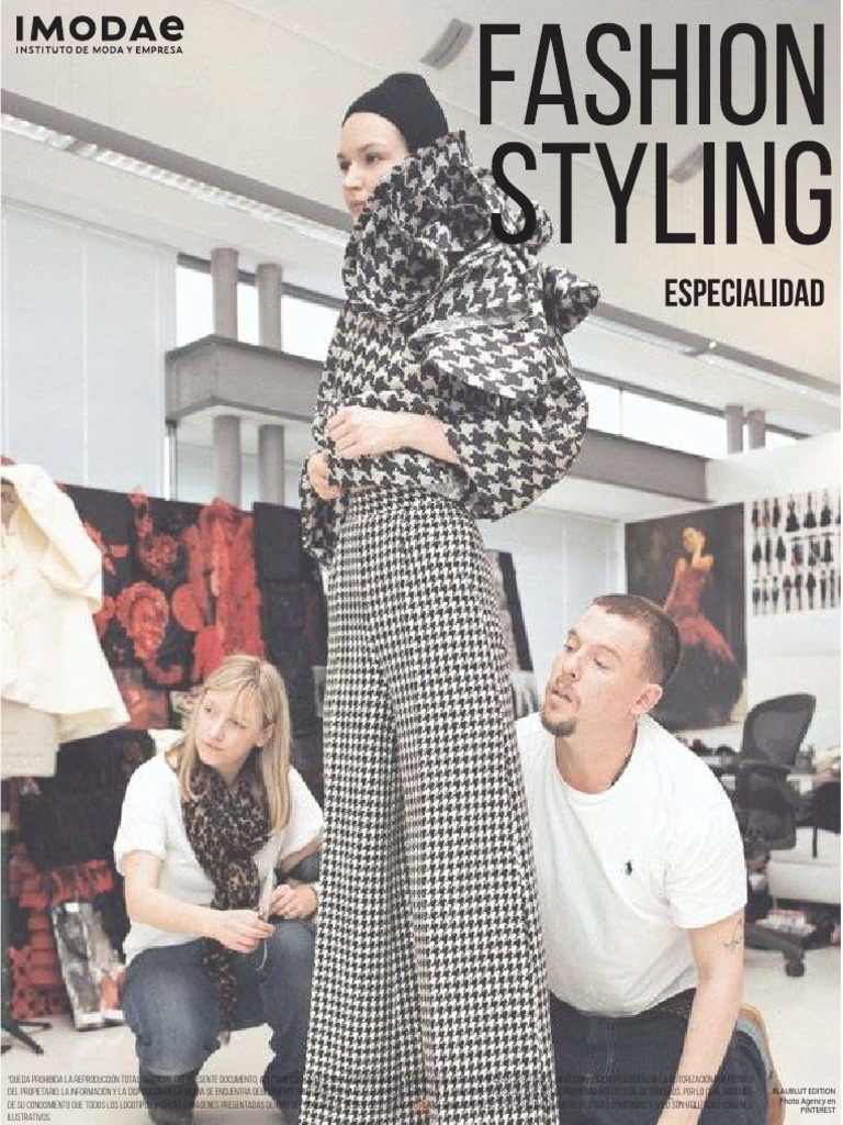 Especialidad en Fashion Styling | PDF