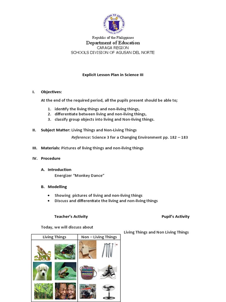 Explicit Lesson Plan - FINAL 2 | PDF | Cognition | Learning