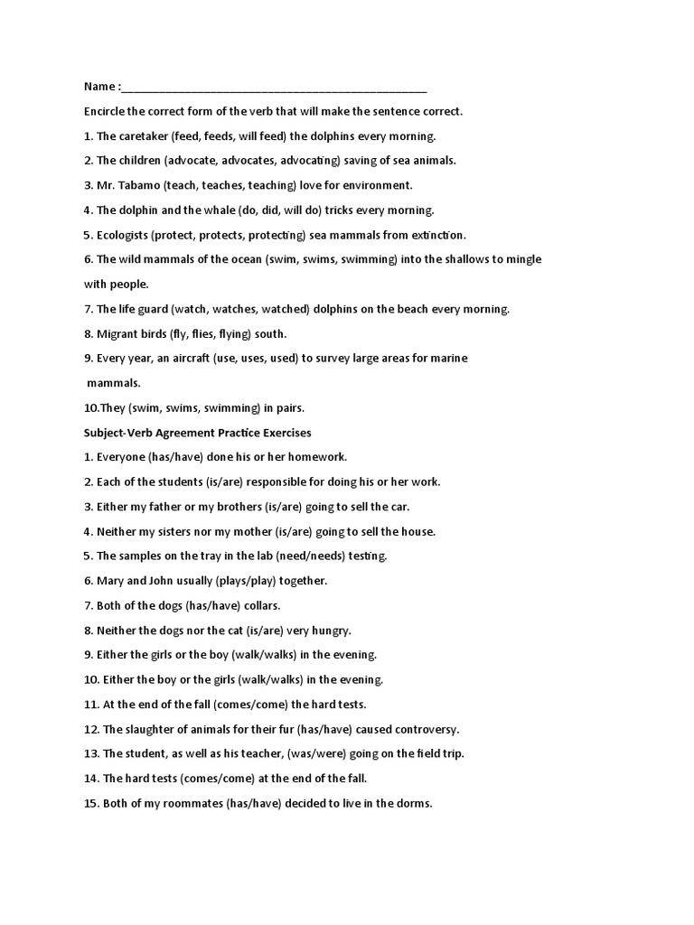 Activity Sheet Agreement of Verb and Noun | PDF | Dolphin | Marine Mammals
