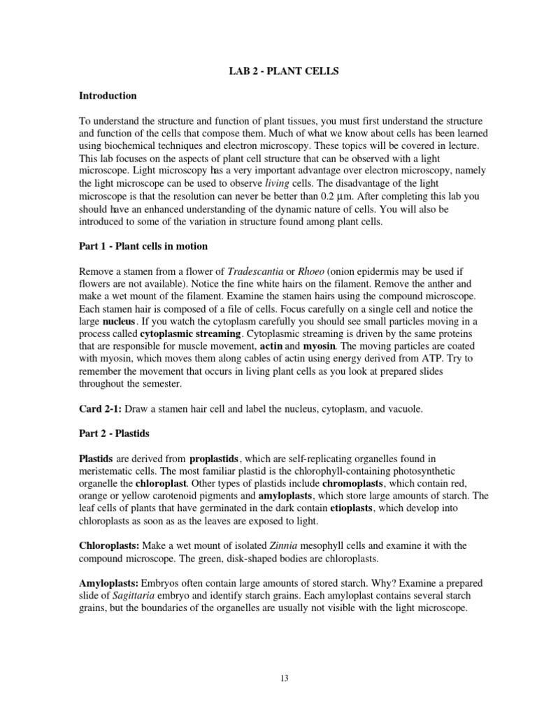 Plant Cell Lab Assignment | PDF | Chloroplast | Cell (Biology)