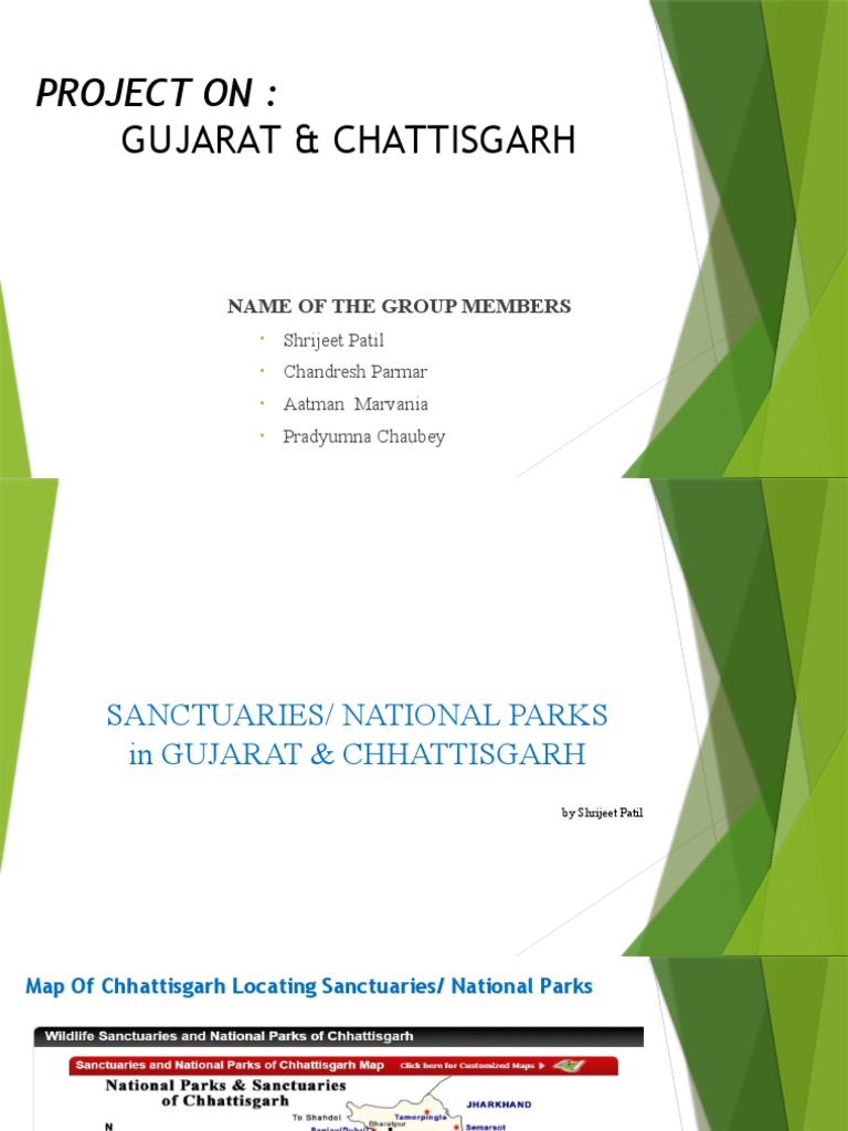 Science Project - Pad - 051122 | PDF