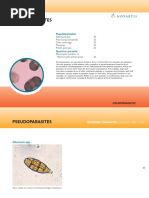 Enterobius Vermicularis: Cellophane (Scotch) Tape Method | PDF ...