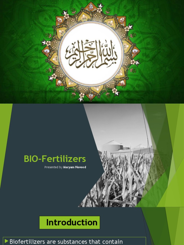 Bio Fertilizers | PDF