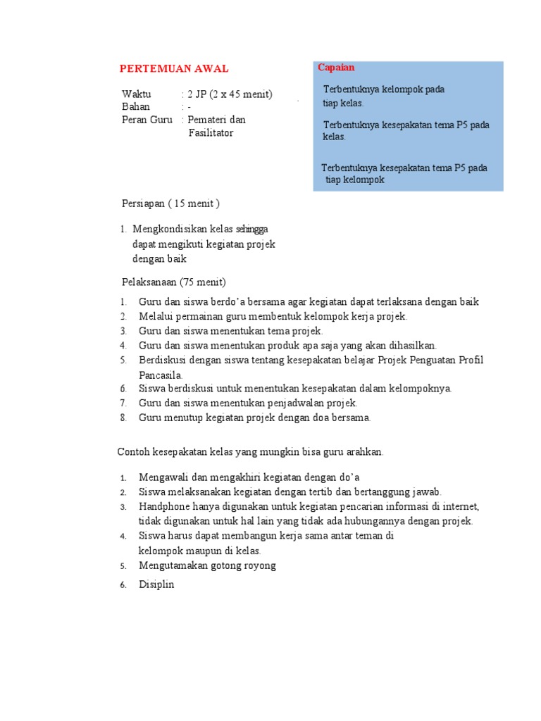 RPP P5 Bullying | PDF