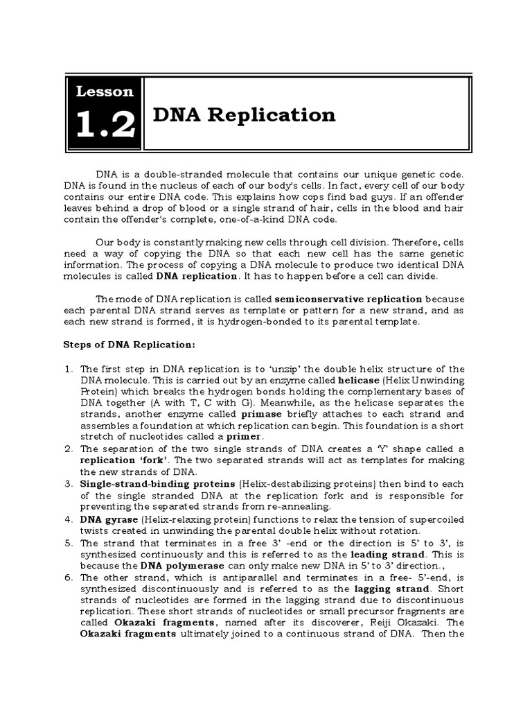 Lesson 4.2 DNA Replication 1 | PDF | Dna Replication | Dna