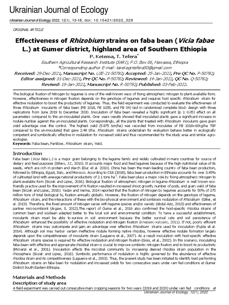 Effectiveness of Rhizobium Strains On Faba Bean Vicia Fabae L at Gumer ...