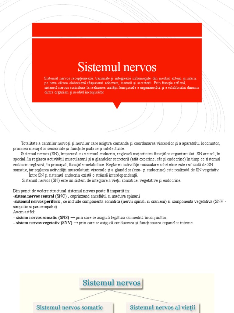 Sistemul Nervos | PDF