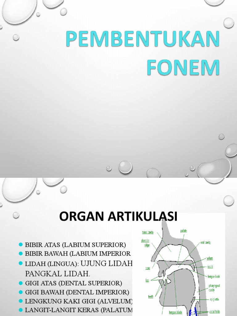 Pembentukan Fonem | PDF