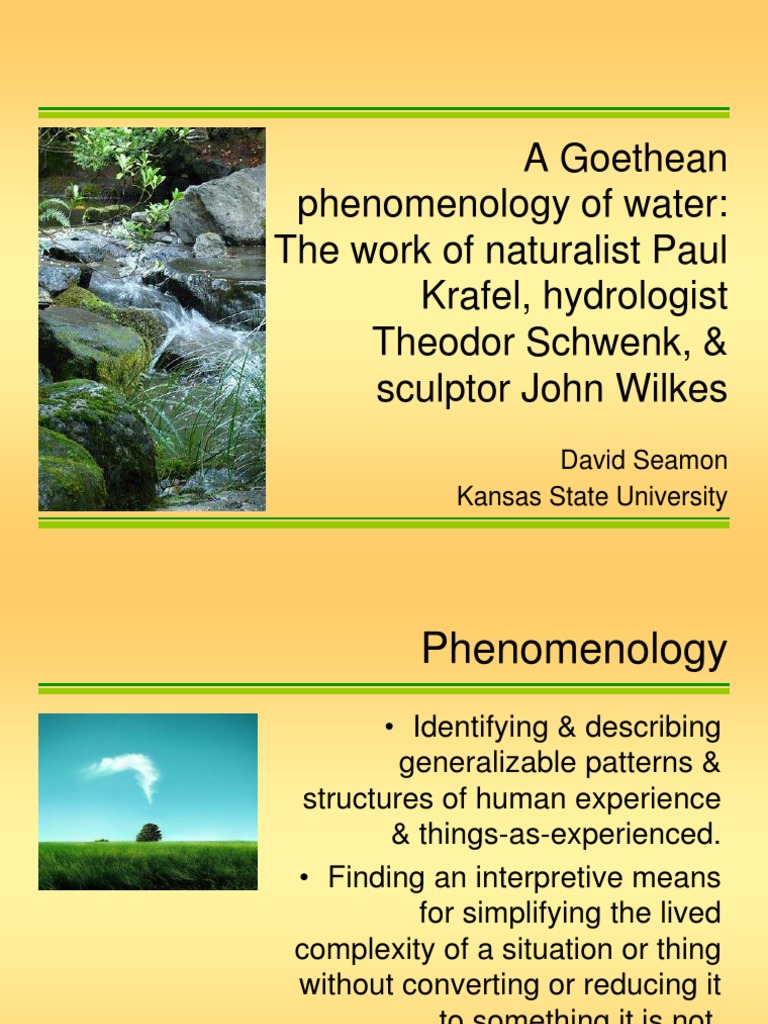 A Goethean Phenomenology of Water The Wo | PDF | Erosion | Stream