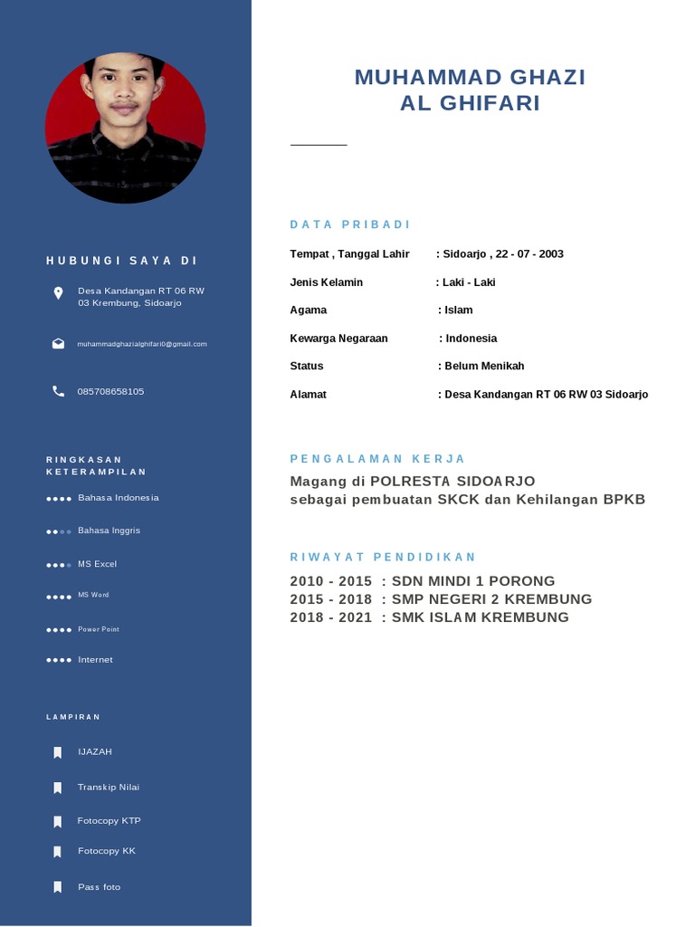 CV Farid | PDF