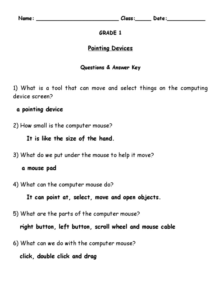 Grade 1 Computer Pointing Devices | PDF