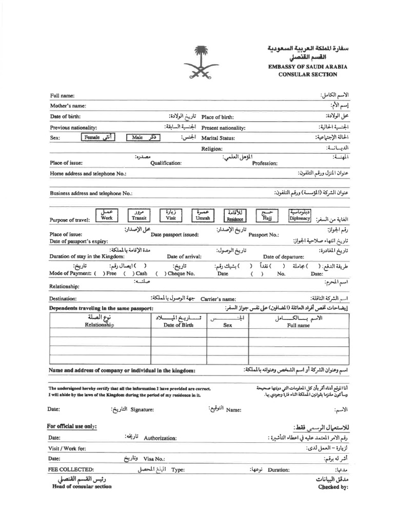 Obrazac Za Vizu | PDF