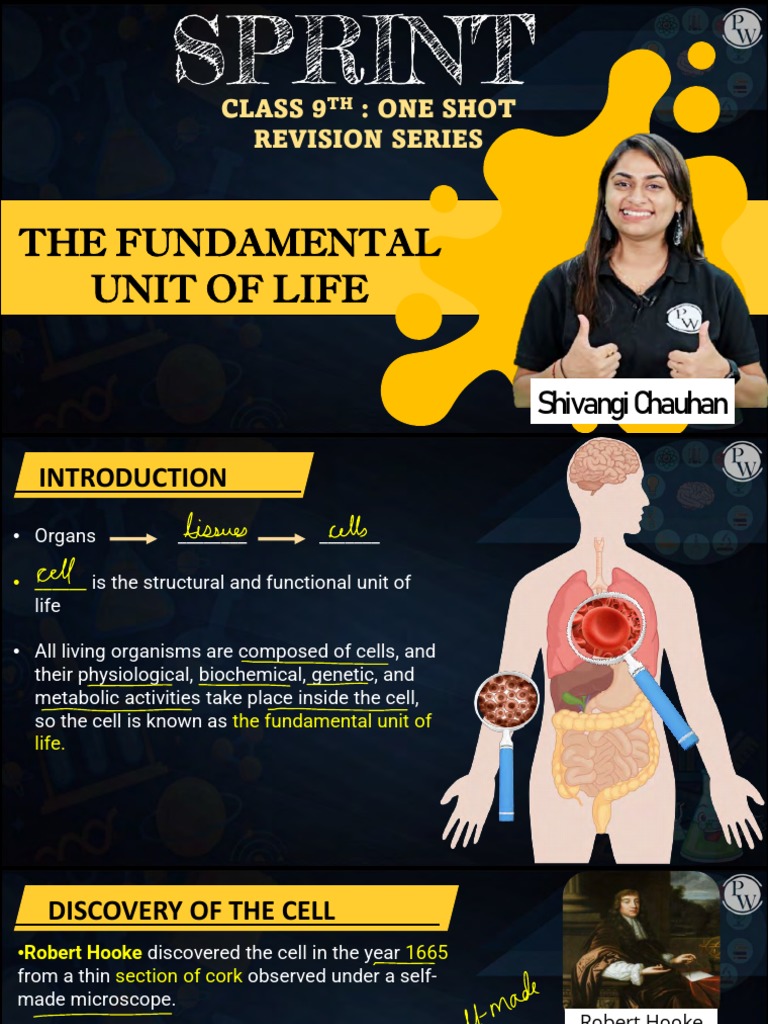 638dba179fd2e400bf4af02f - ## - The Fundamental Unit of Life: Class ...