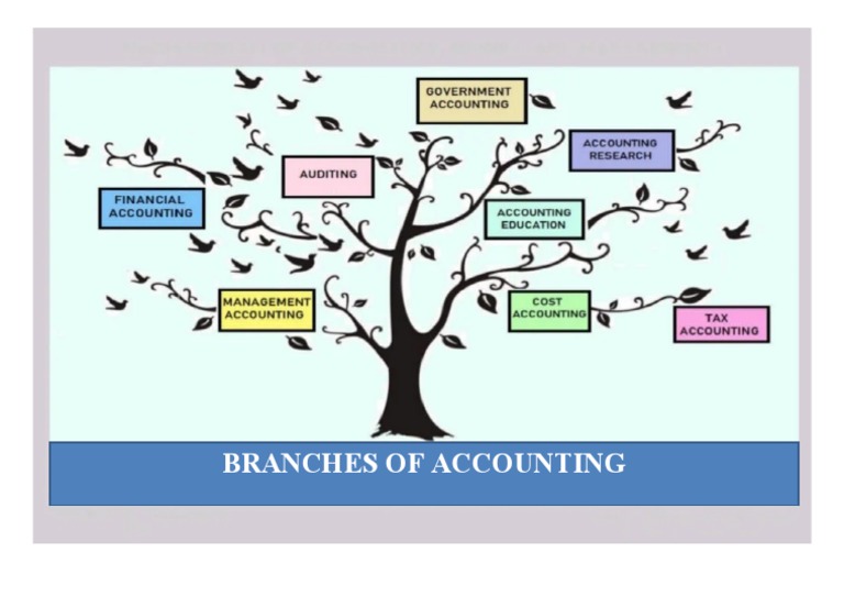 Chart On Branches of Accounting | PDF