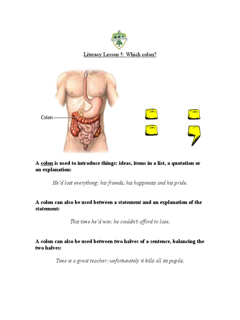 Colon & Semi Colons Worksheet | PDF | Language Arts & Discipline ...