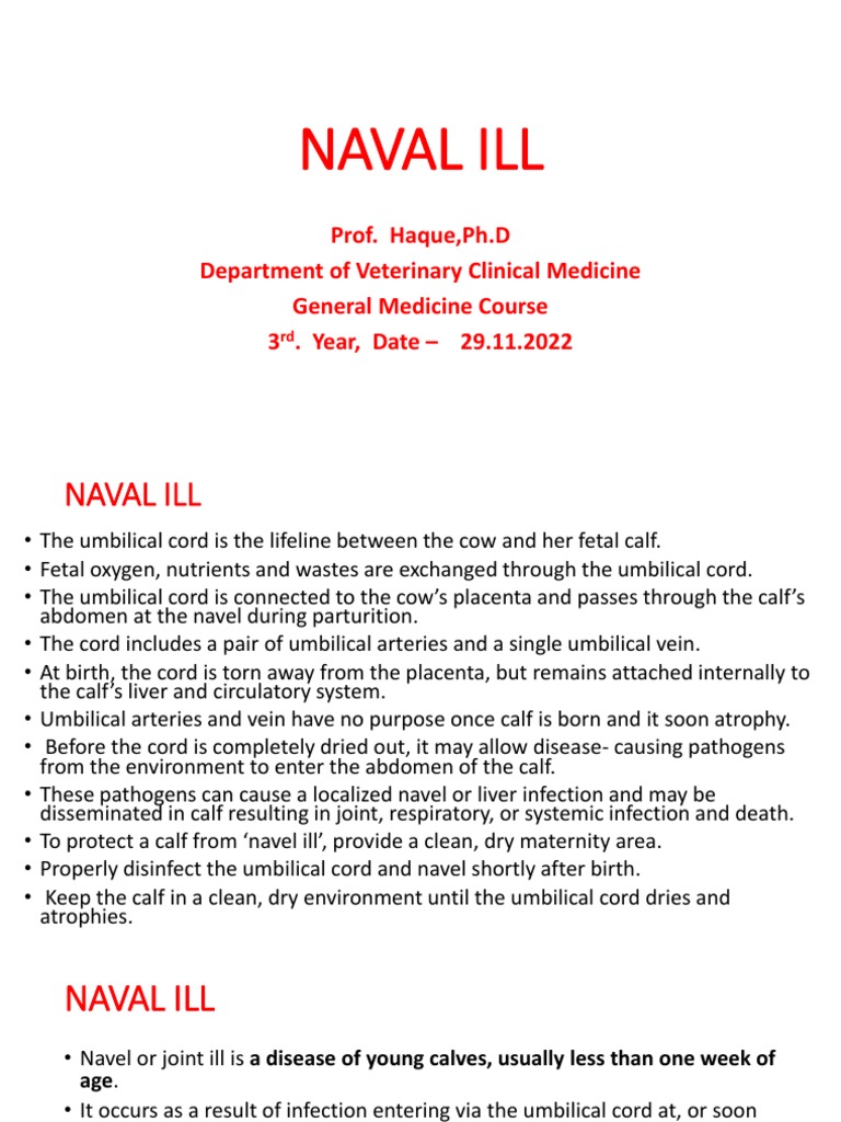 PR Naval Ill, 2022 Microsoft PowerPoint Presentation Copy 21 | PDF ...