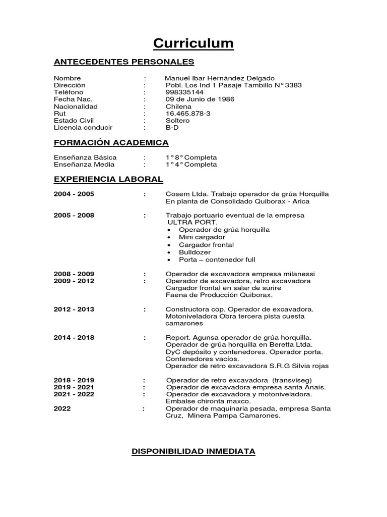 Curriculum Manuel Hernandez | PDF