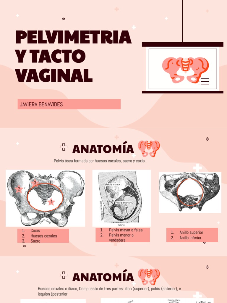 Pelvimetria y Tacto Vaginal | PDF | Pelvis | Sistema musculoesquelético