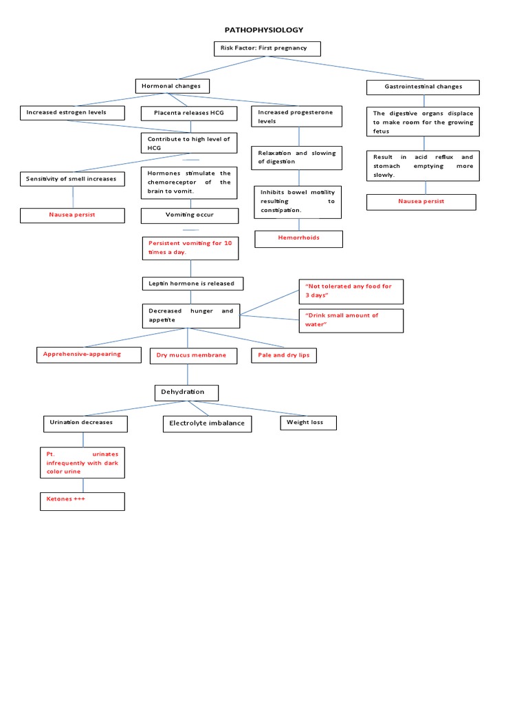 Pathophysiology of Hyperemesis Gravidarum | PDF | Nausea | Medicine