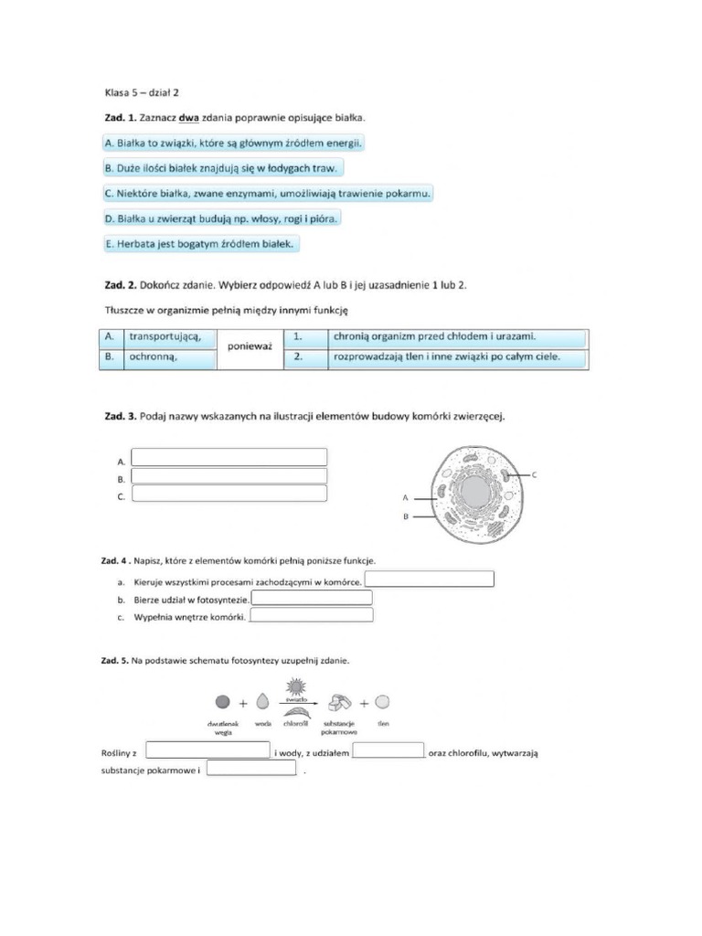 Biologia kl5 Dział 2 | PDF