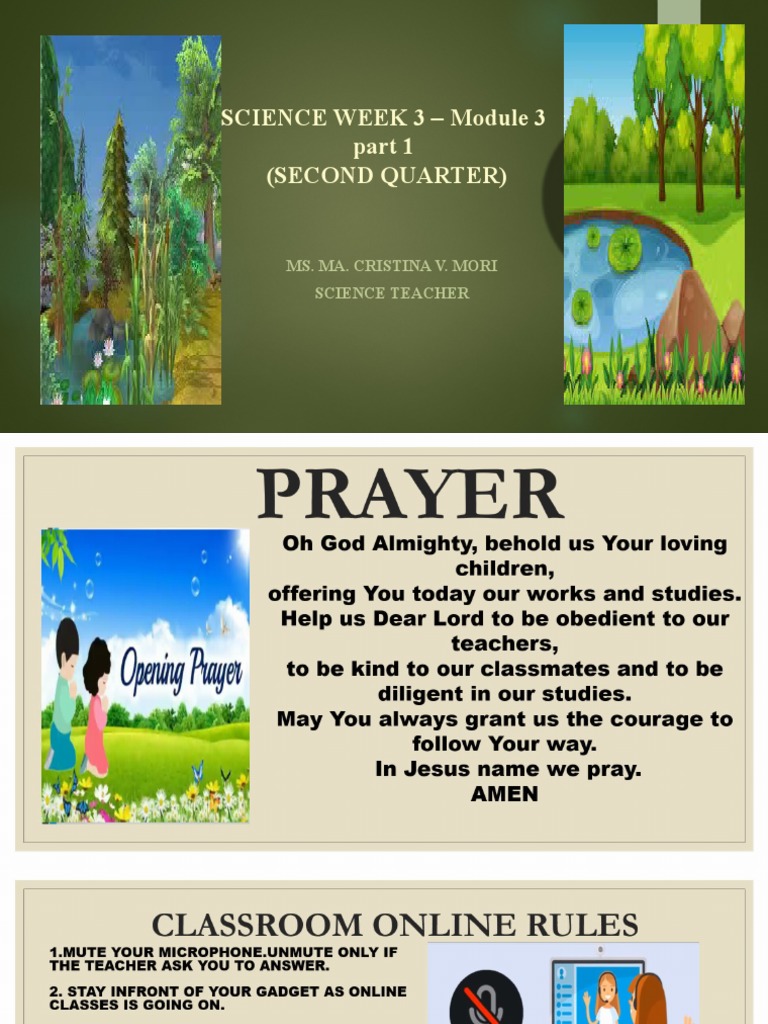 Adapting to Habitats: A Lesson on How Plants and Animals Adapt ...