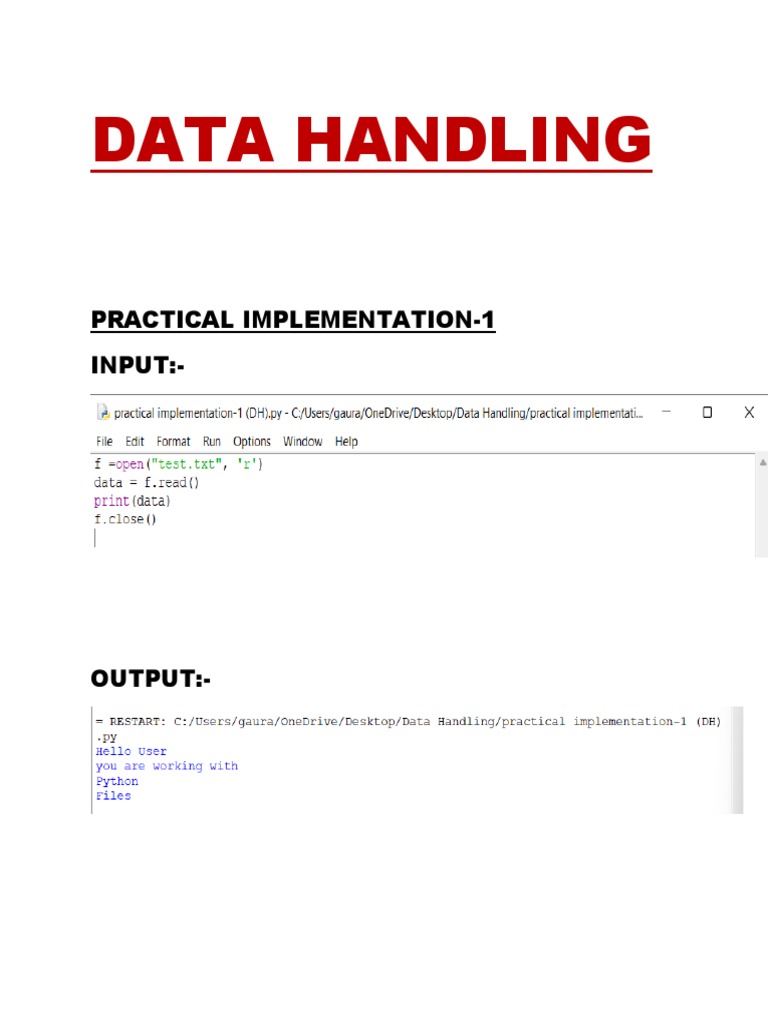 Data Handling: Practical Implementation-1 Input | PDF | Databases | Data Management
