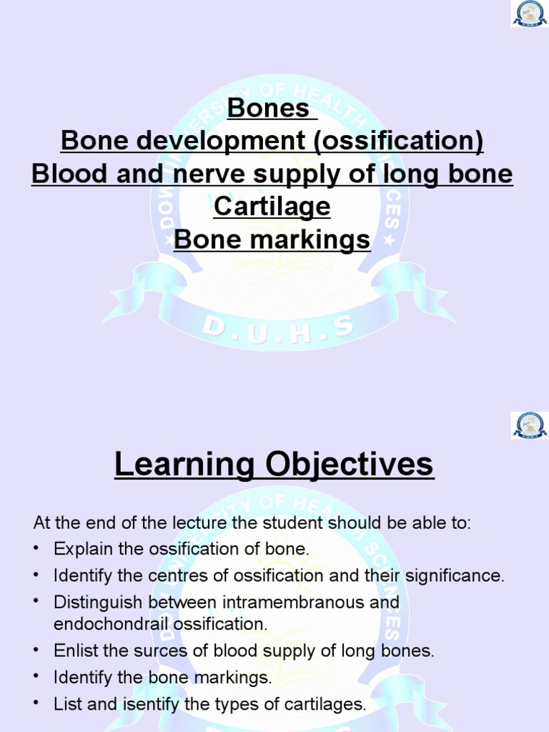Bone Development | PDF | Bone | Cartilage