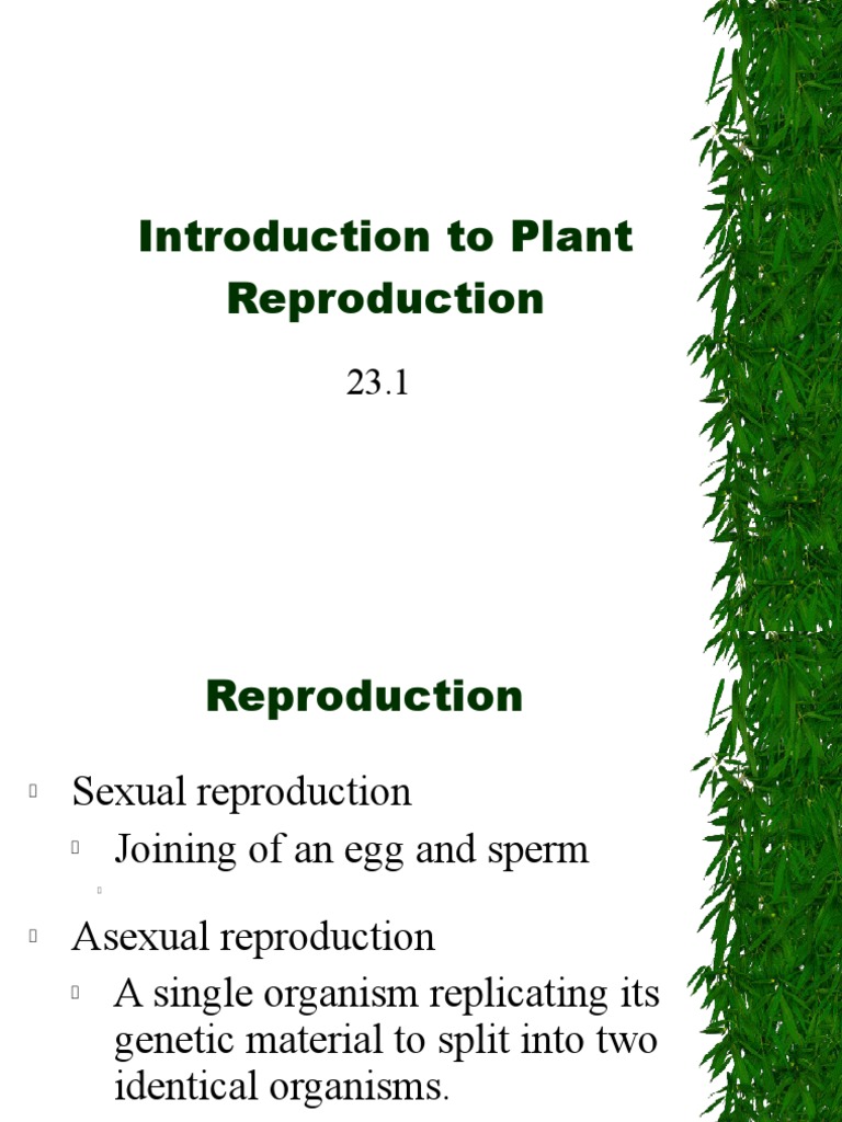 Chapter 23 Plant Reproduction | PDF | Flowers | Fruit