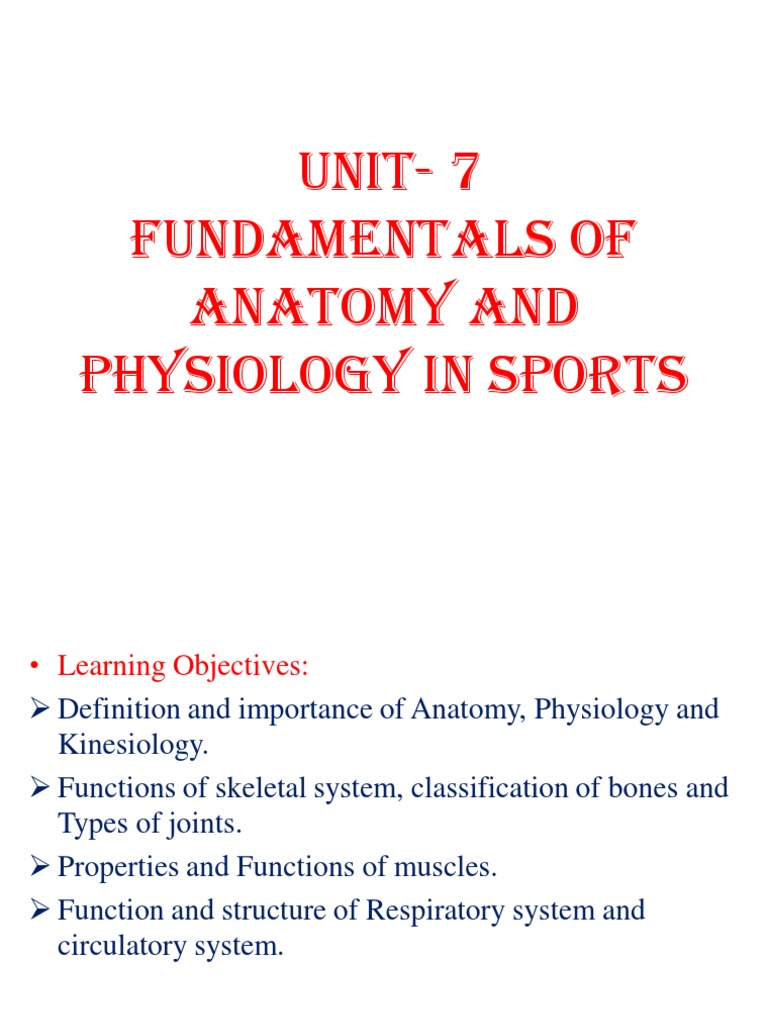 Sports Anatomy Basics | PDF