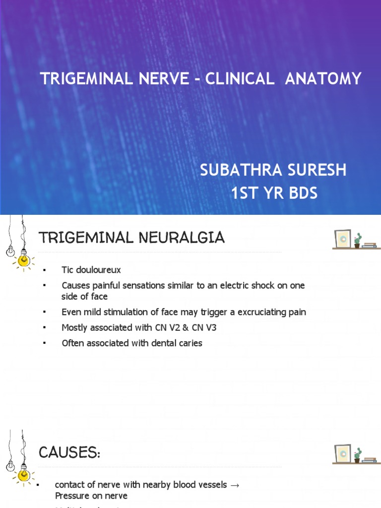 Otic Ganglion: Anatomy and Function | PDF | Anatomy | Nervous System