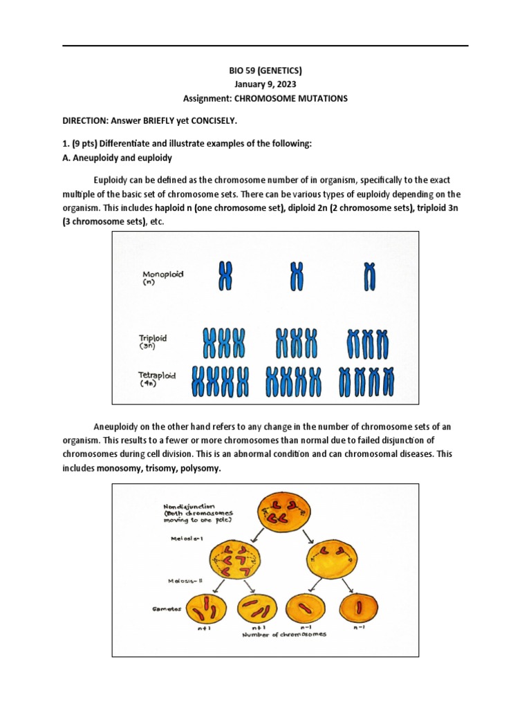 Chromosomal Mutation | PDF | Ploidy | Chromosome