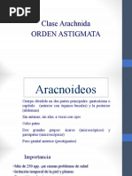 Ácaros del polvo: Dermatophagoides y Euroglyphus | PDF | Alergia