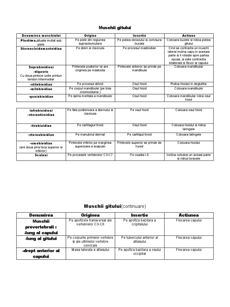 Muschii Gitului | PDF