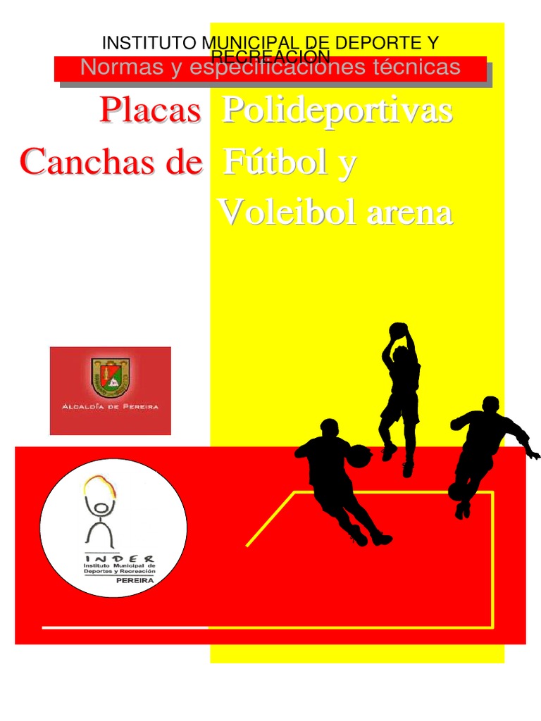 Infraestructura Manual Canchas Deportiva | PDF | Pinturas | Hormigón