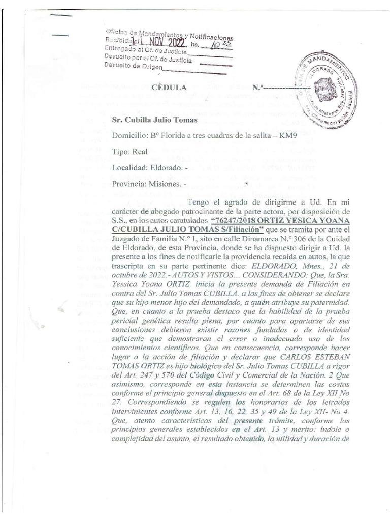 Modelo de Cédula Judicial | PDF